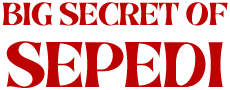 About the Book - Big Secret of Sepedi